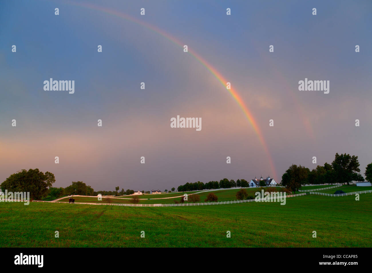 Rainbow over a horse farm Stock Photo - Alamy