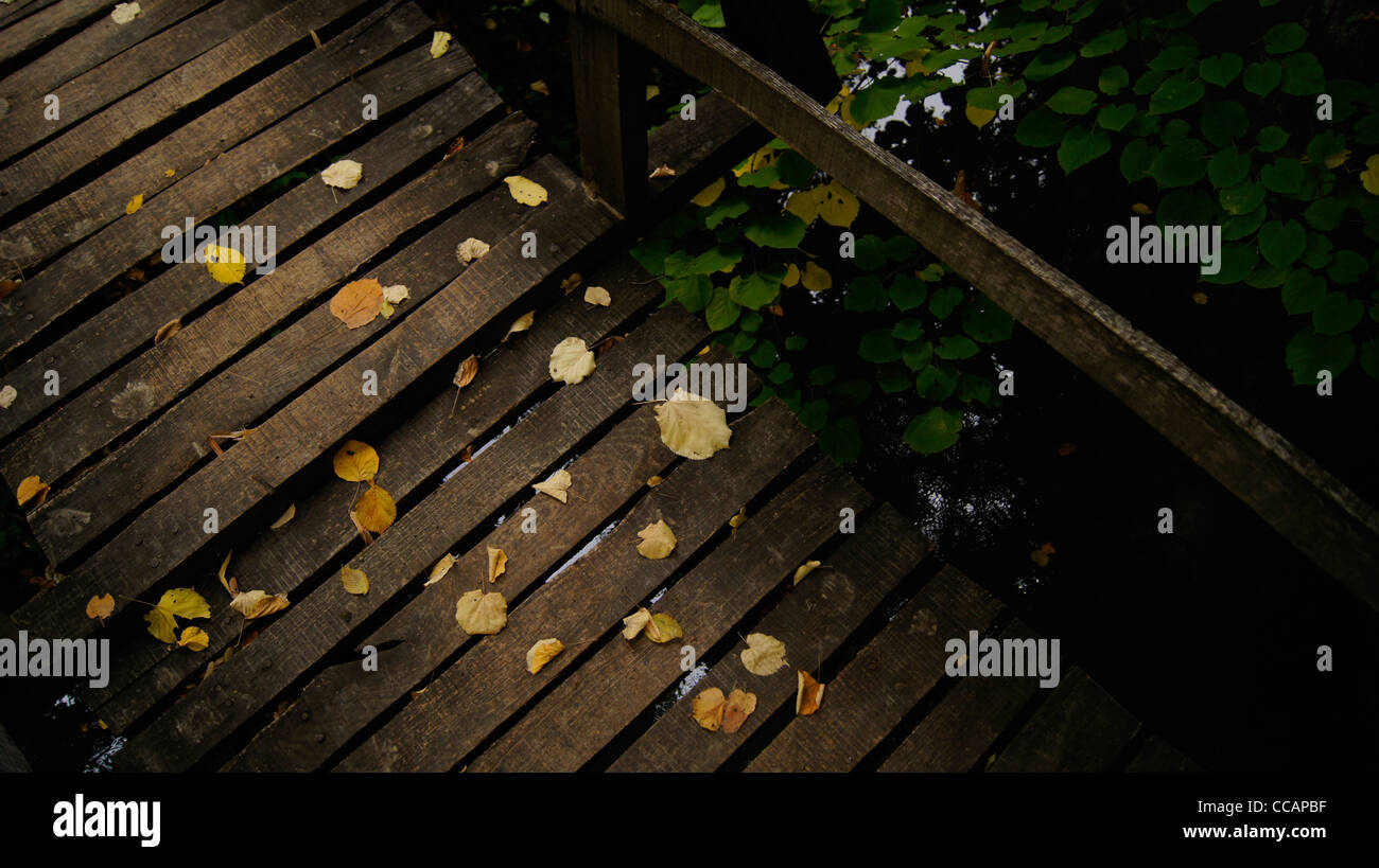 Fallen leaves over a wooden bridge in autumn creating a zen-like ...