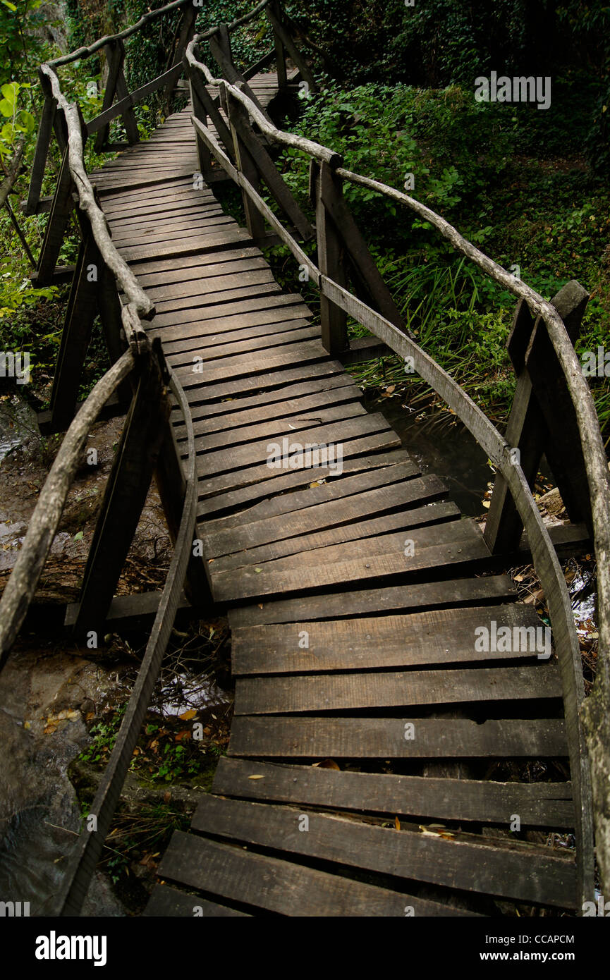 A wooden bridge winding over a stream with lush vegetation Stock Photo ...