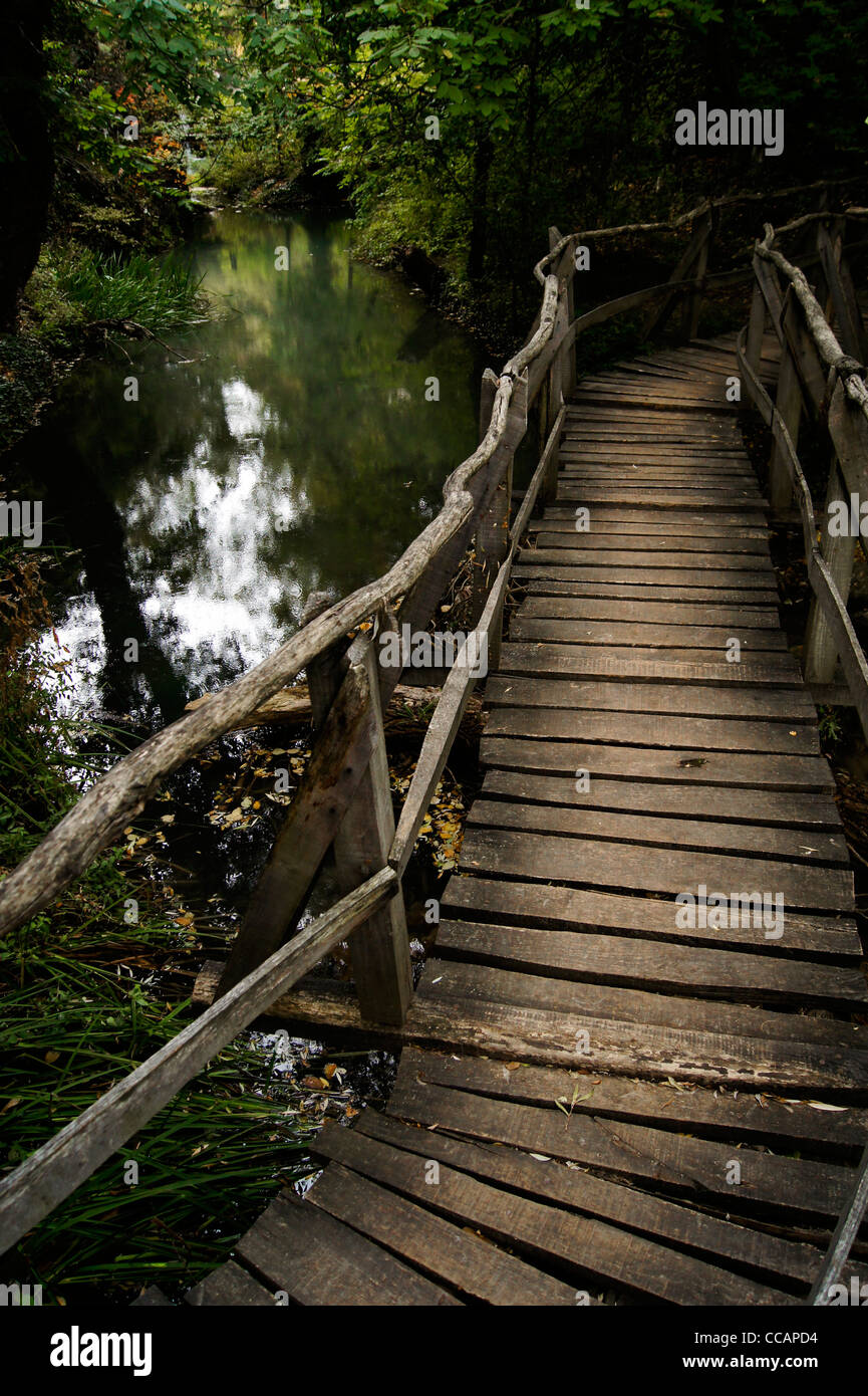 A wooden bridge winding over a tranquil lake with lush vegetation Stock ...