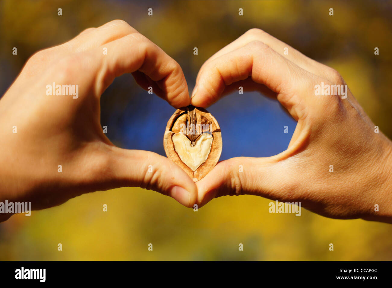Two Hands One Heart