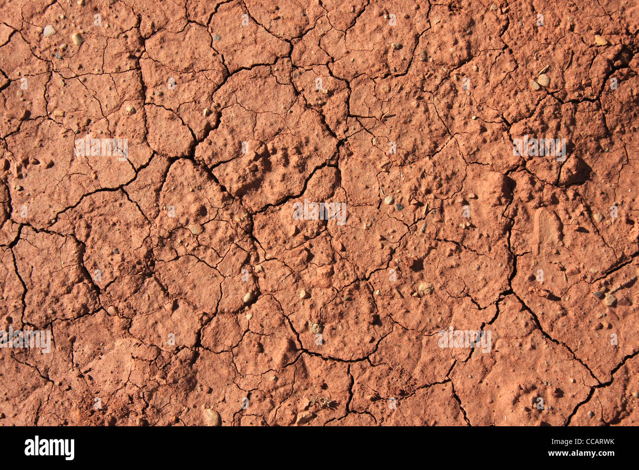Soil summer cracks hi-res stock photography and images - Alamy