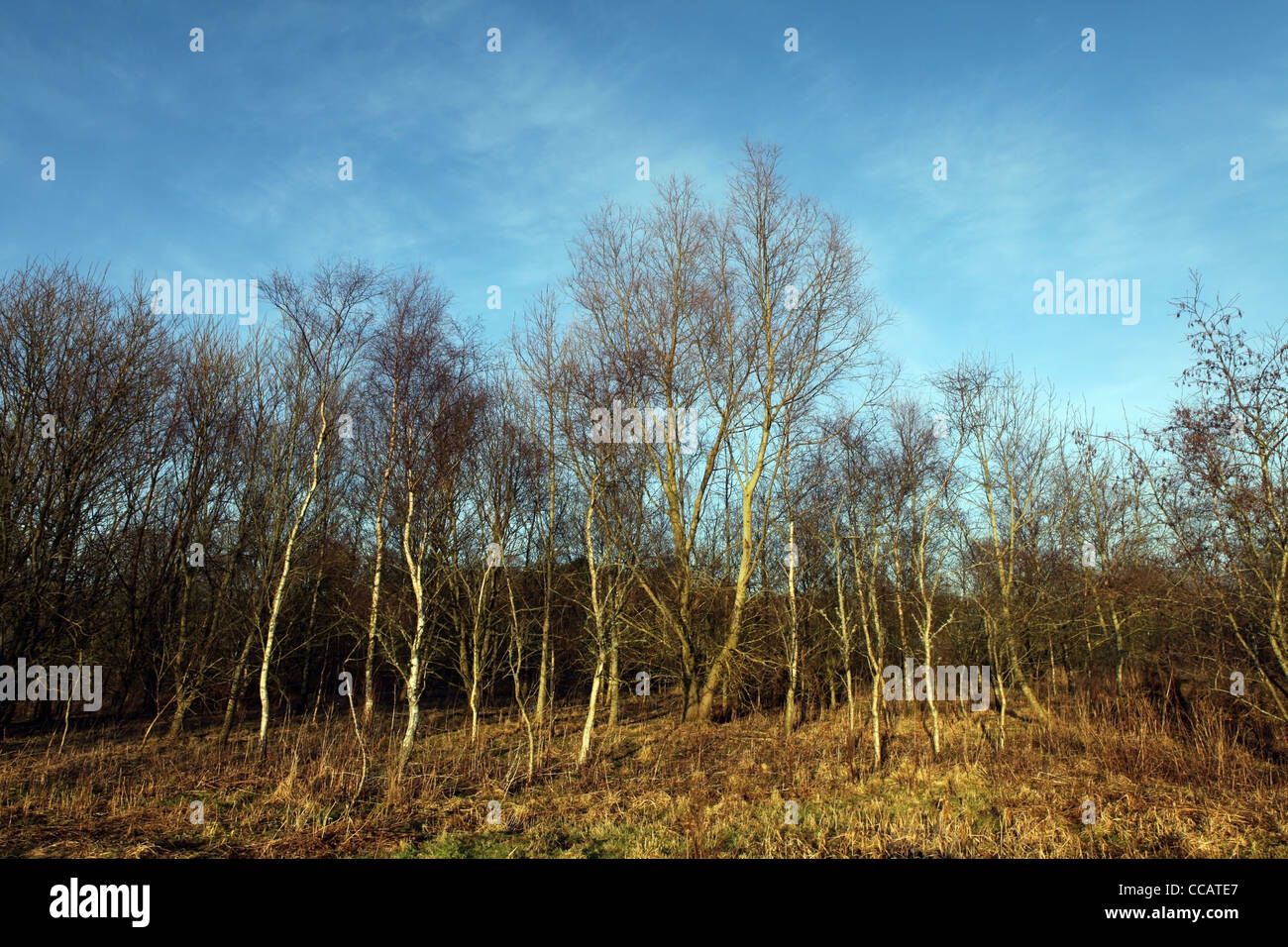The River Ythan which flows through Ellon, Fyvie, Methlick, ending at ...
