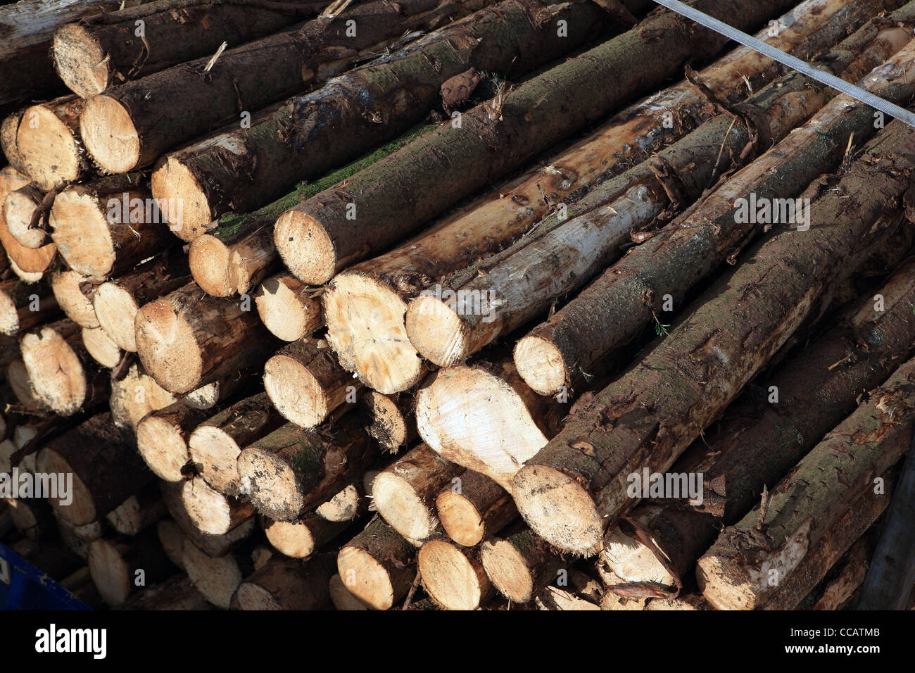 Timber transport hi-res stock photography and images - Alamy