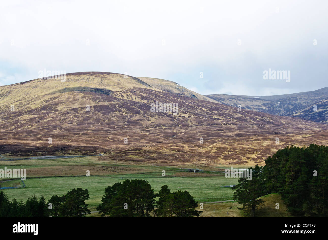 Borders railway winter hi-res stock photography and images - Alamy