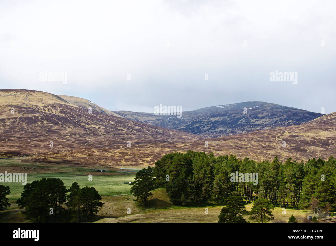 Borders railway winter hi-res stock photography and images - Alamy