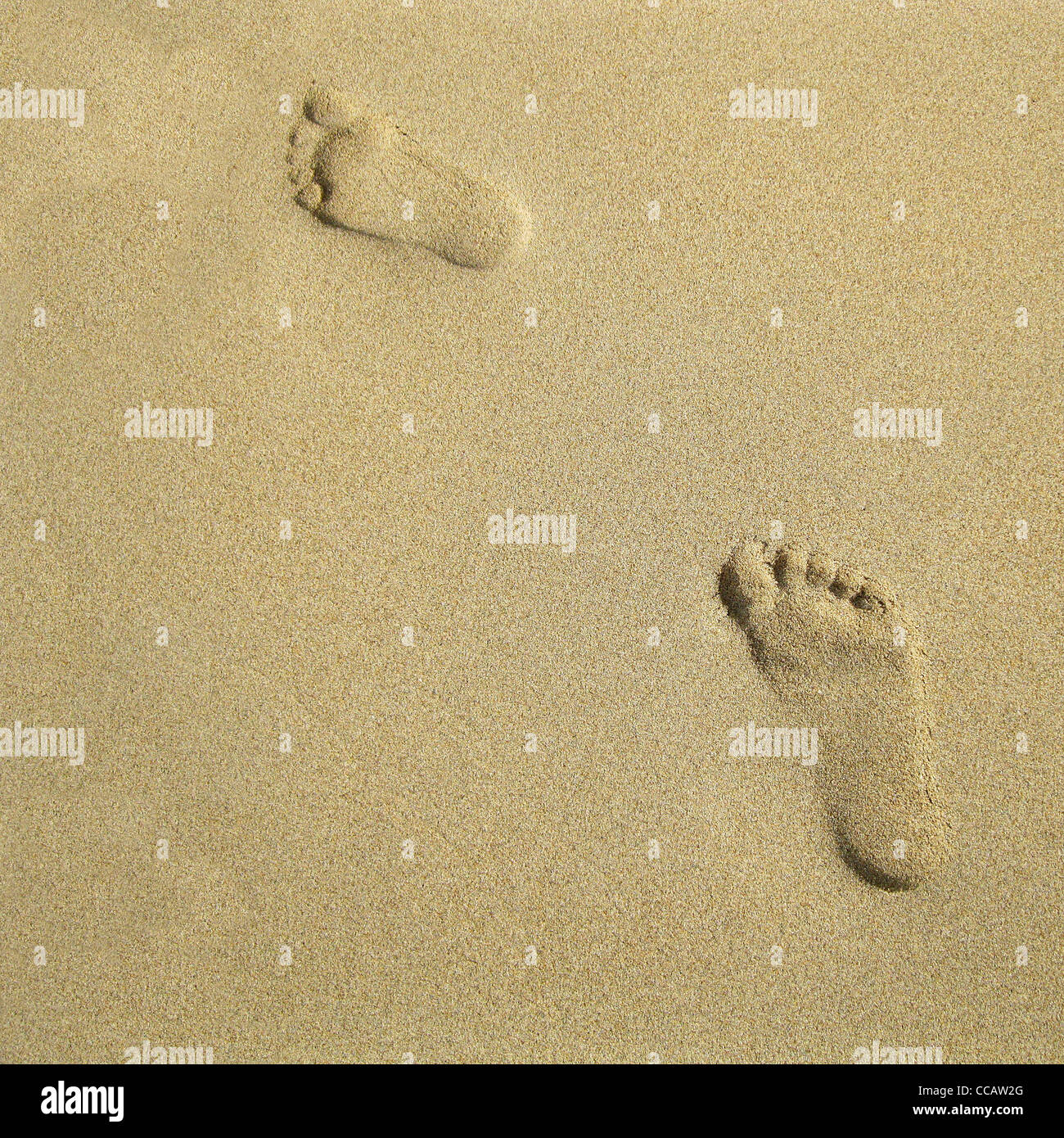 Square shot of two footprints in the sand Stock Photo - Alamy