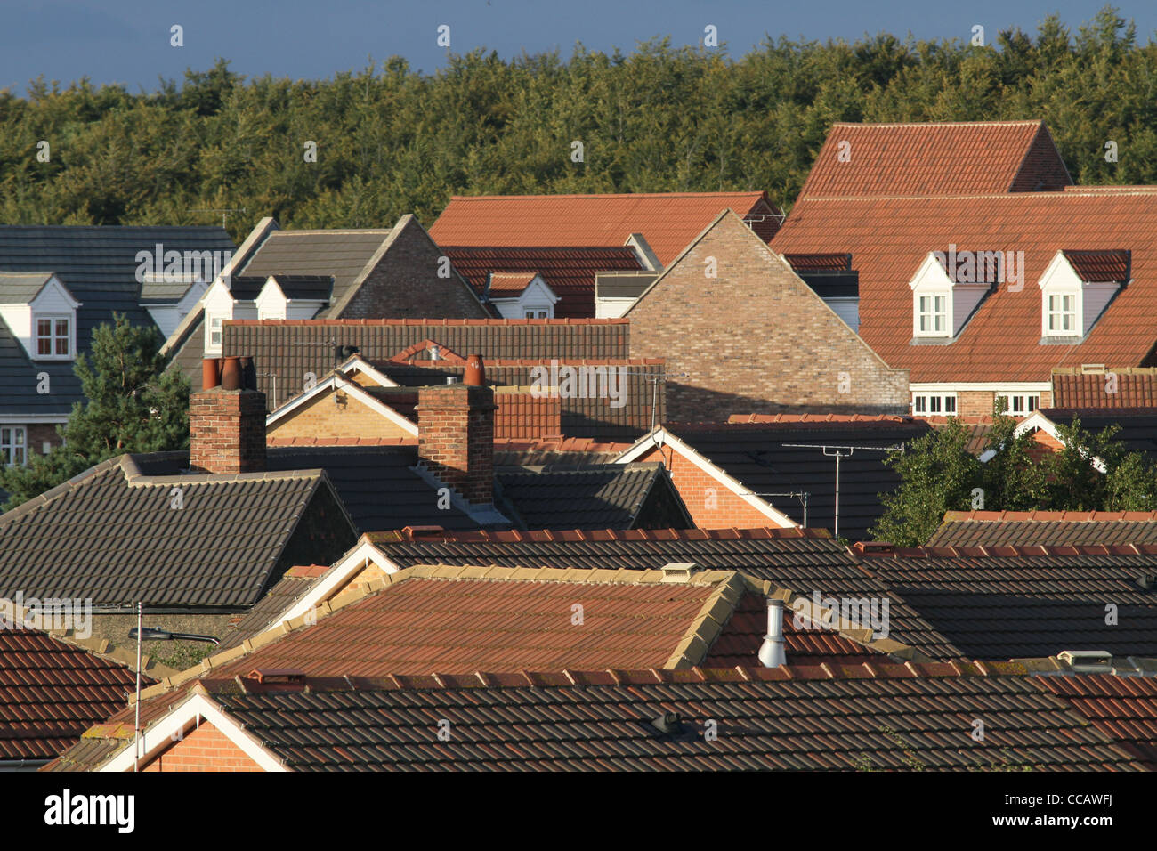 Closely packed rooftops on a modern British housing development Stock ...