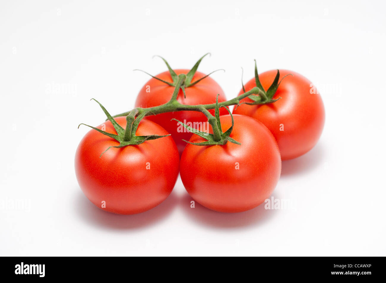 Tomato plants cut outs hi-res stock photography and images - Alamy