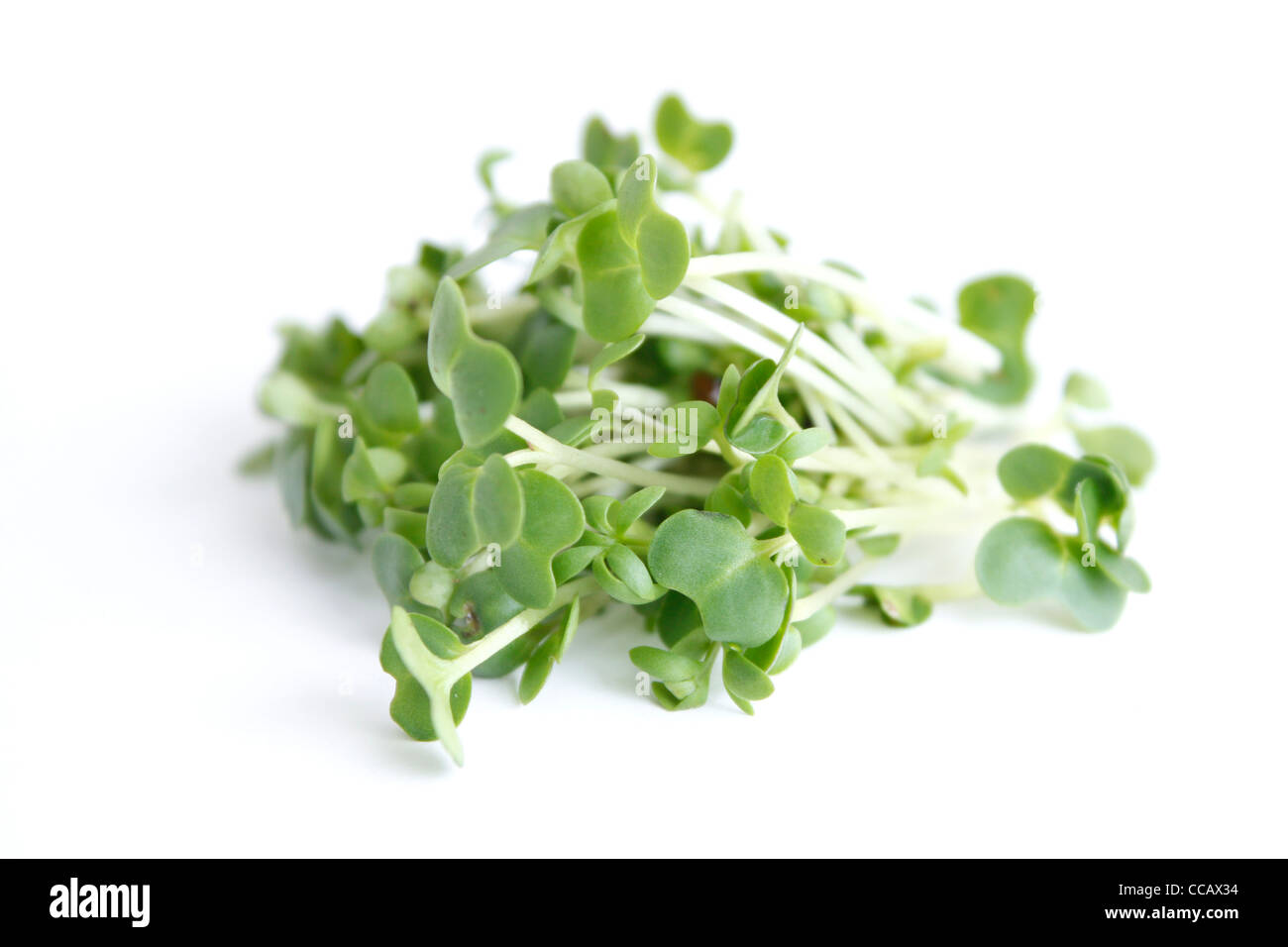 Wild Cress Stock Photos & Wild Cress Stock Images - Alamy