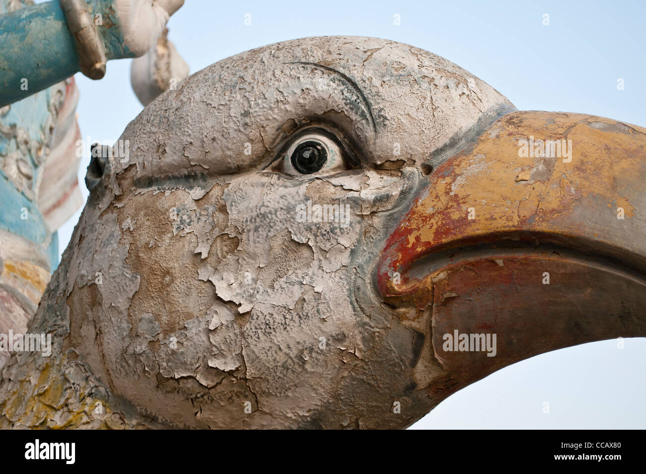 Bird, Hindu temple, Vrindavan, Uttar Pradesh, India Stock Photo - Alamy