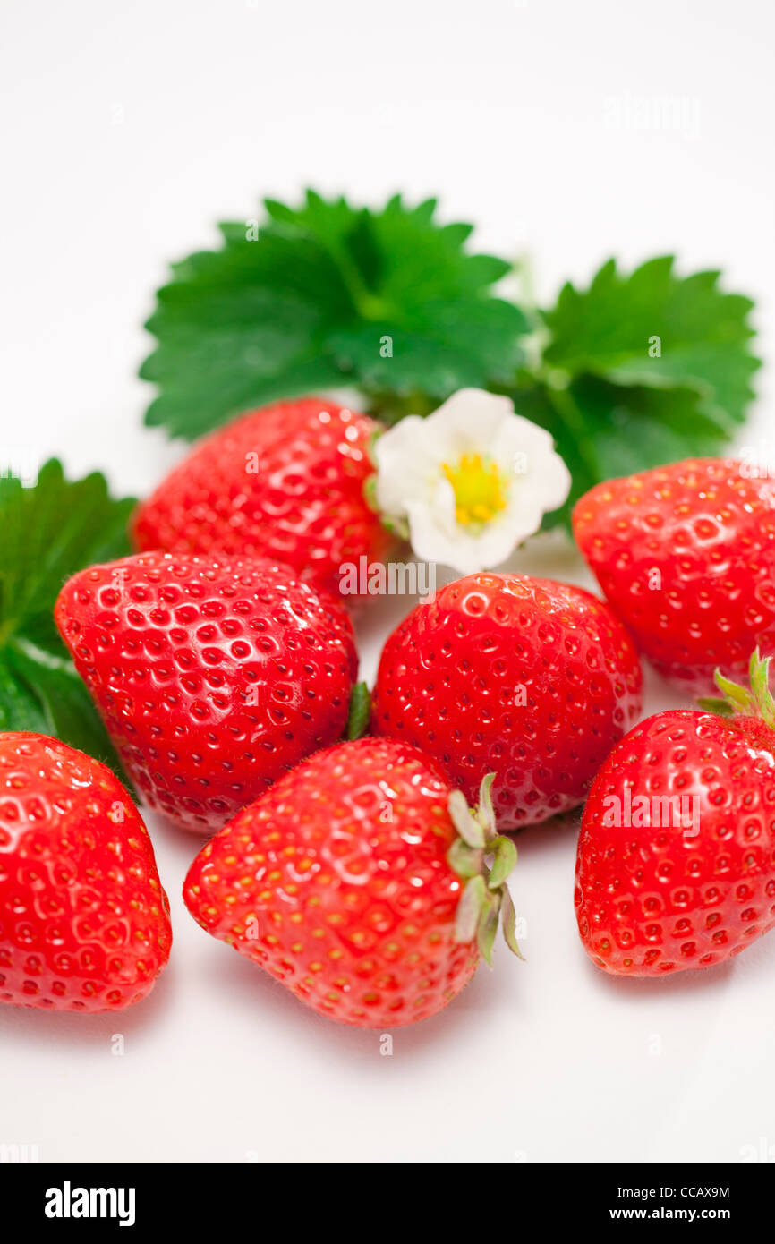 Strawberries bloom hi-res stock photography and images - Alamy