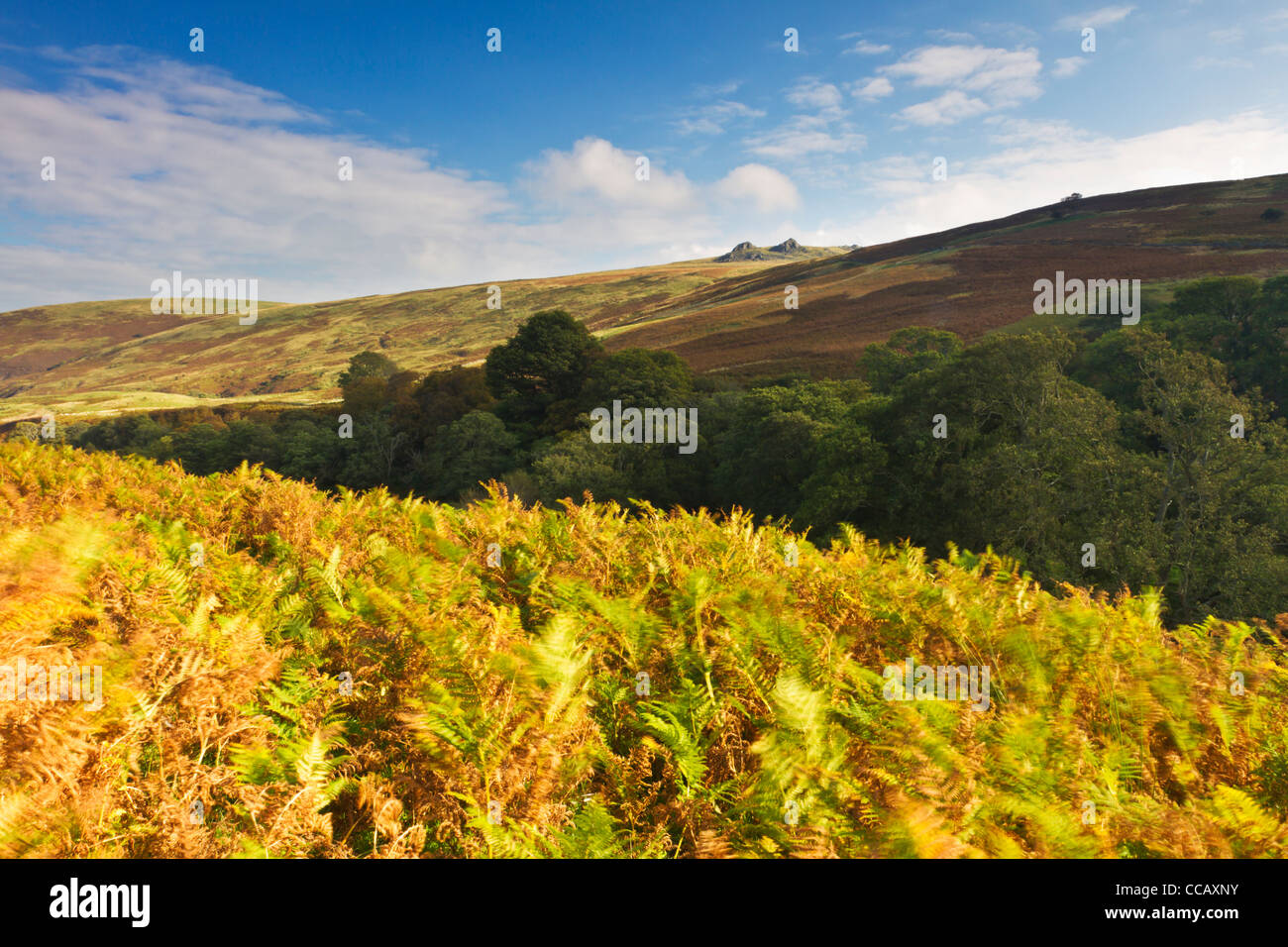 Langlee Crags and the Harthope Valley in the Northumberland Cheviot ...
