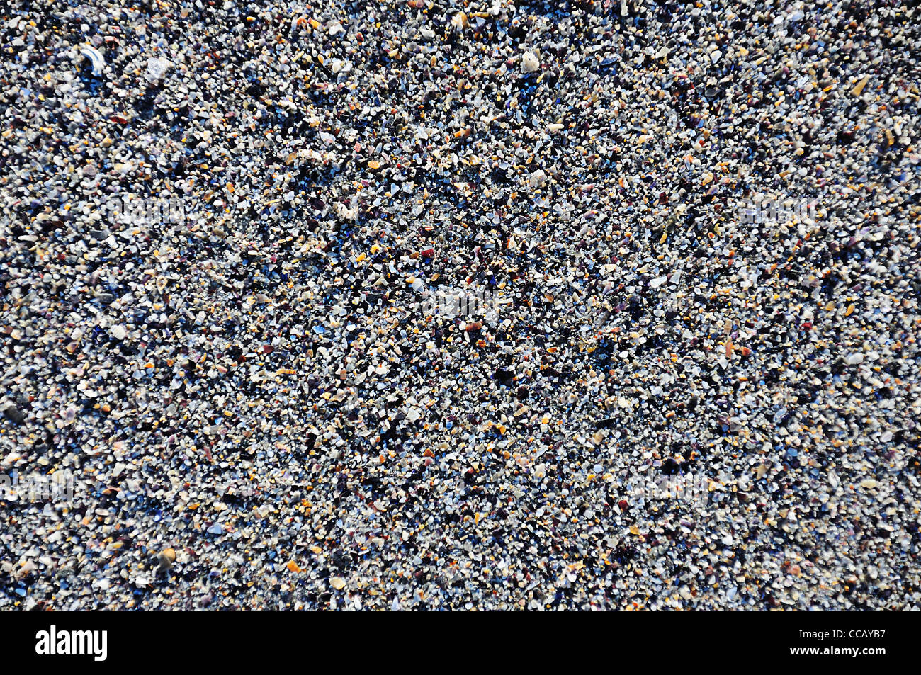 background from a variety of fragments of shells, stones and sand Stock ...