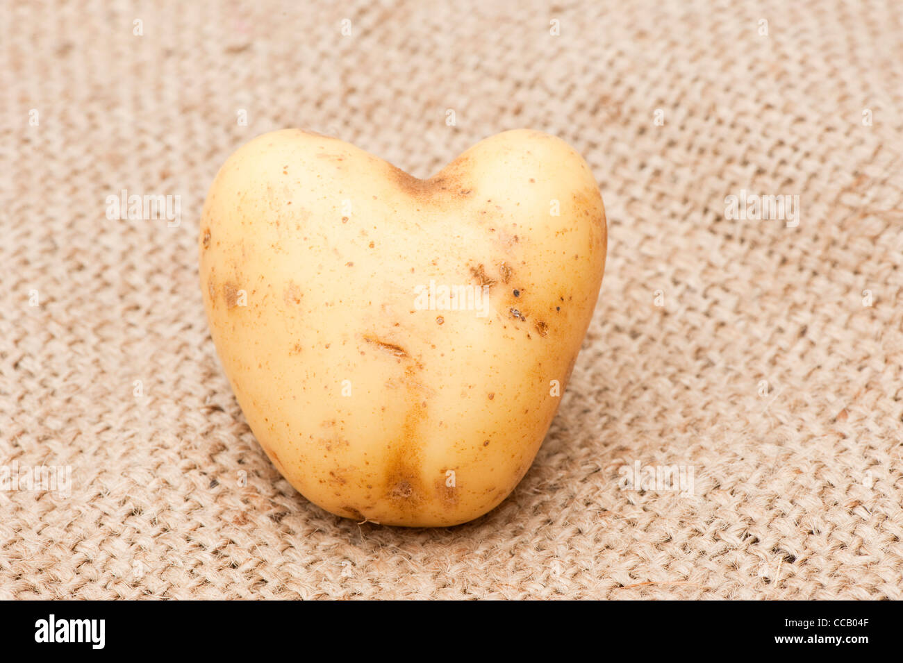 Heart-shaped 'Vivaldi' potato Stock Photo - Alamy