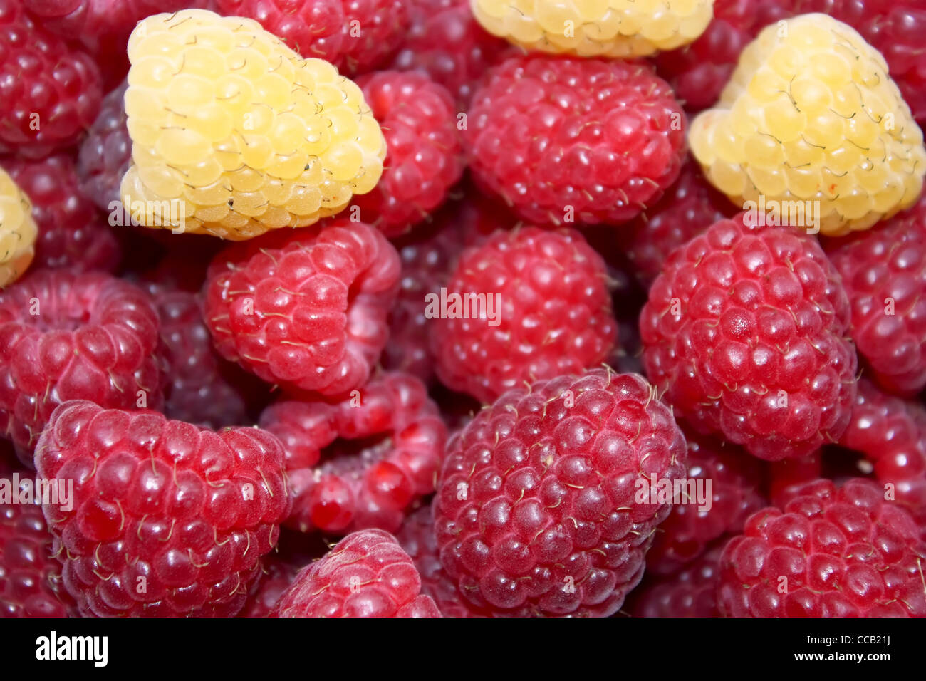 red and yellow raspberries, background Stock Photo - Alamy
