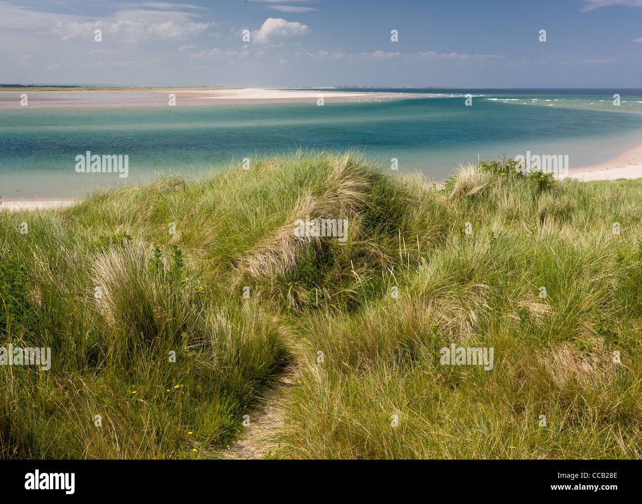 Budle Bay, Northumberland Stock Photo - Alamy