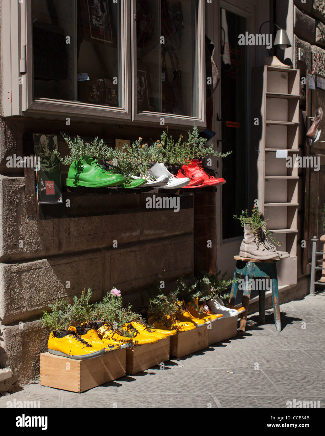 Plants growing out of old coloured shoes outside a leather shop ...