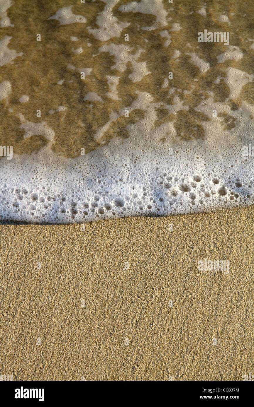 Shoreline shore sea on sand beach detail Stock Photo - Alamy