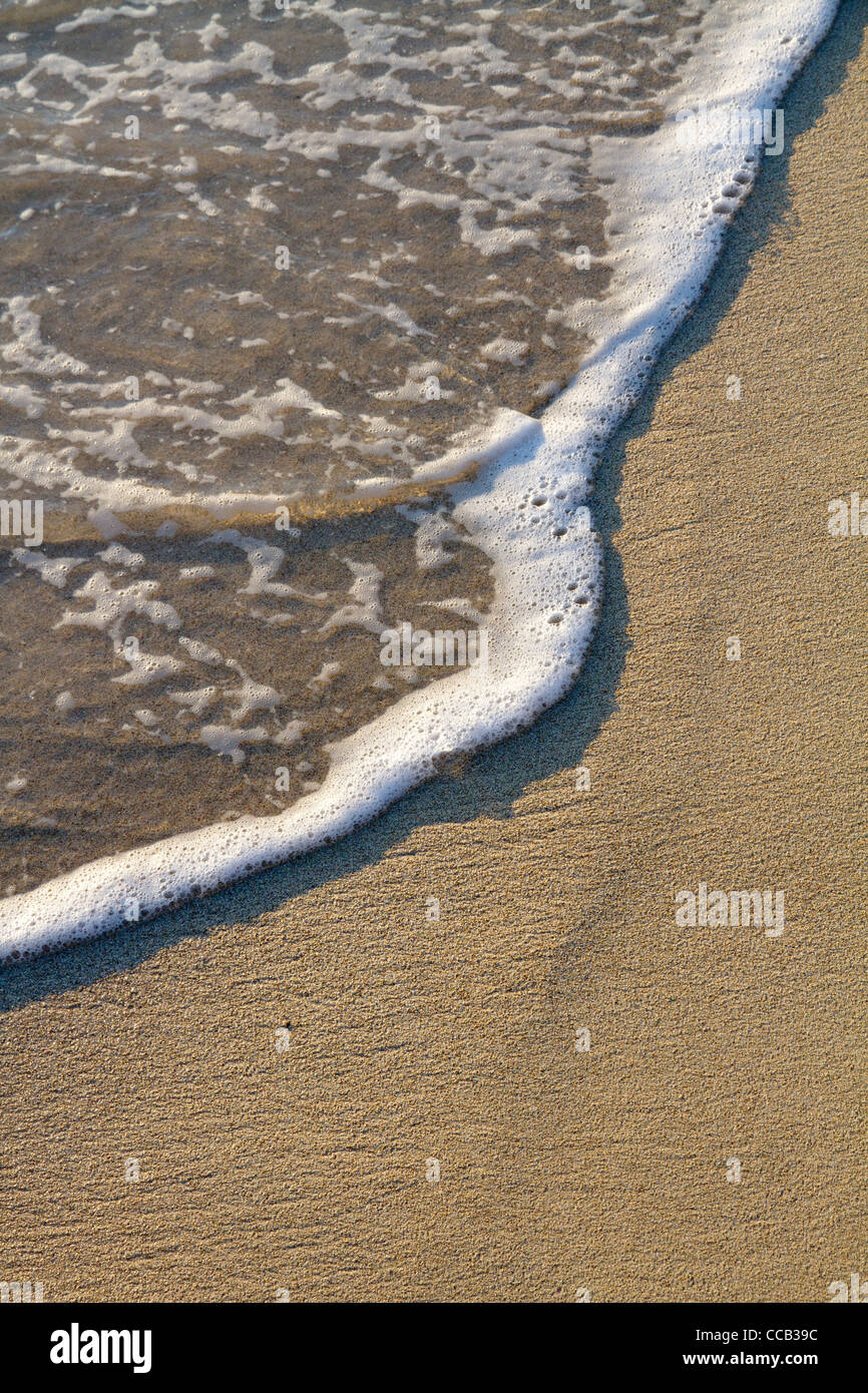 Shoreline detail hi-res stock photography and images - Alamy