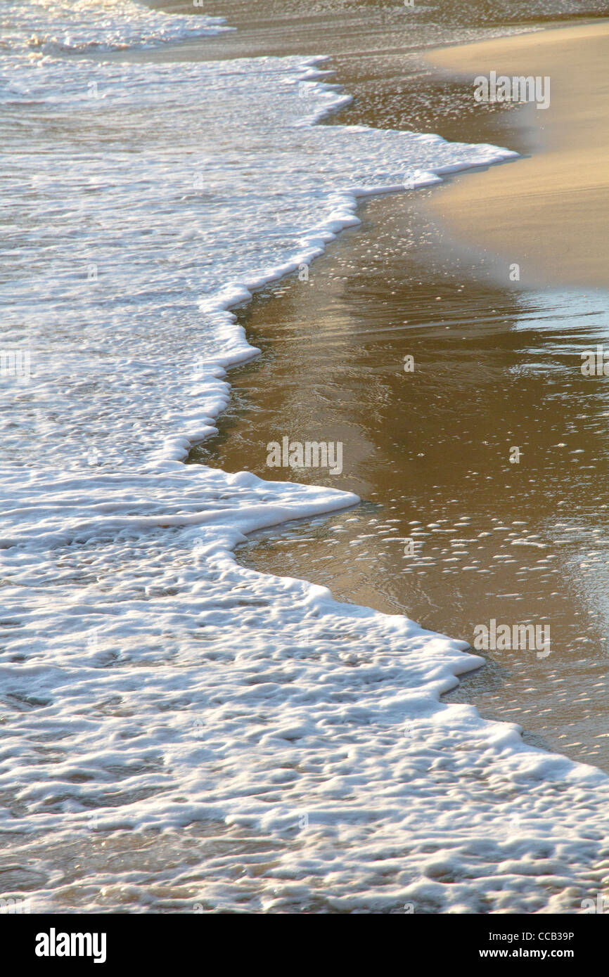 Shoreline shore sea wave on sand beach Stock Photo - Alamy