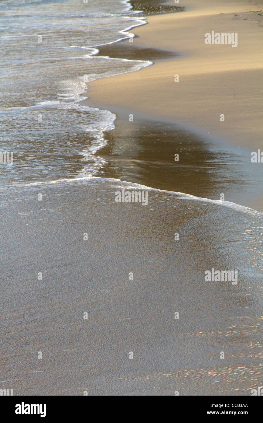 Shoreline shore sea wave on sand beach Stock Photo - Alamy