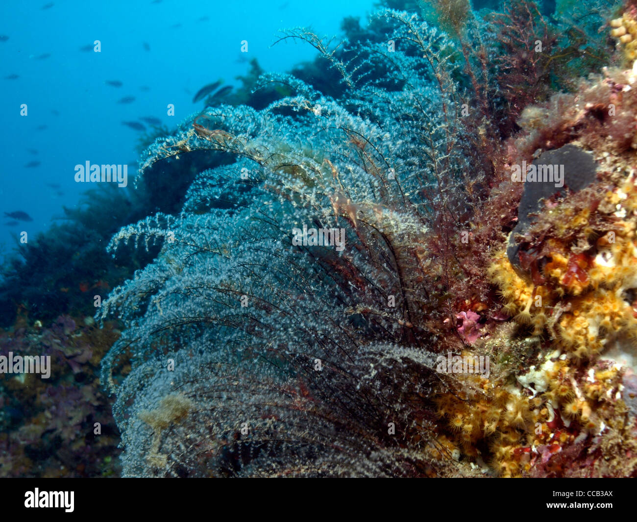 Marine landscape hi-res stock photography and images - Alamy