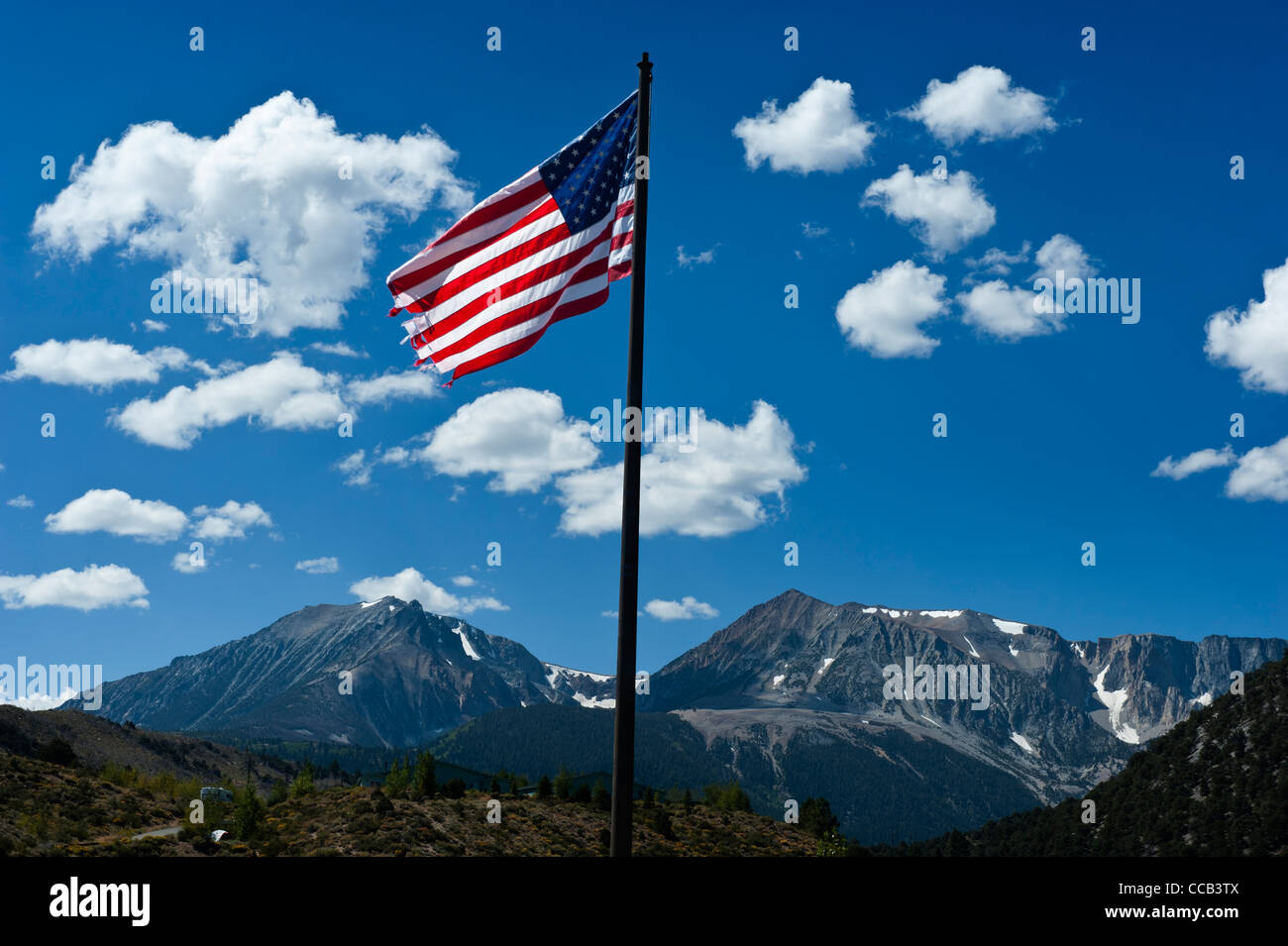 Pic of the american flag hi-res stock photography and images - Alamy