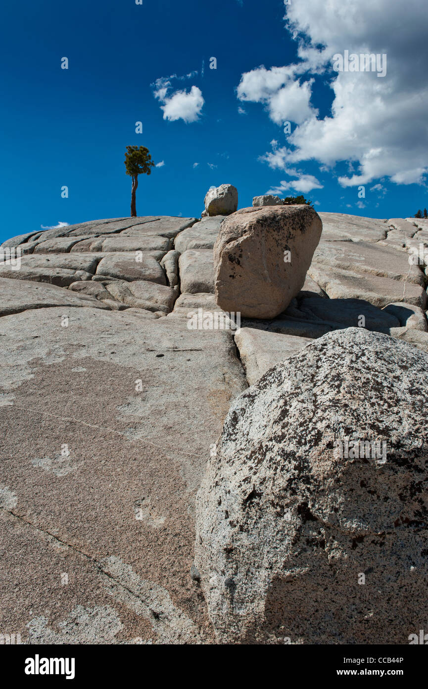 Olmsted Point. Glacial erratic boulder. Yosemite National Park Stock ...