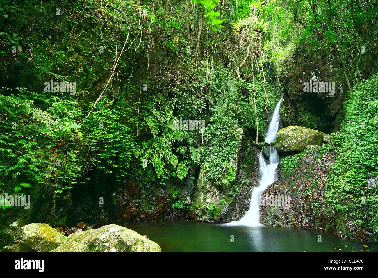 Nature Scenery Stock Photo - Alamy