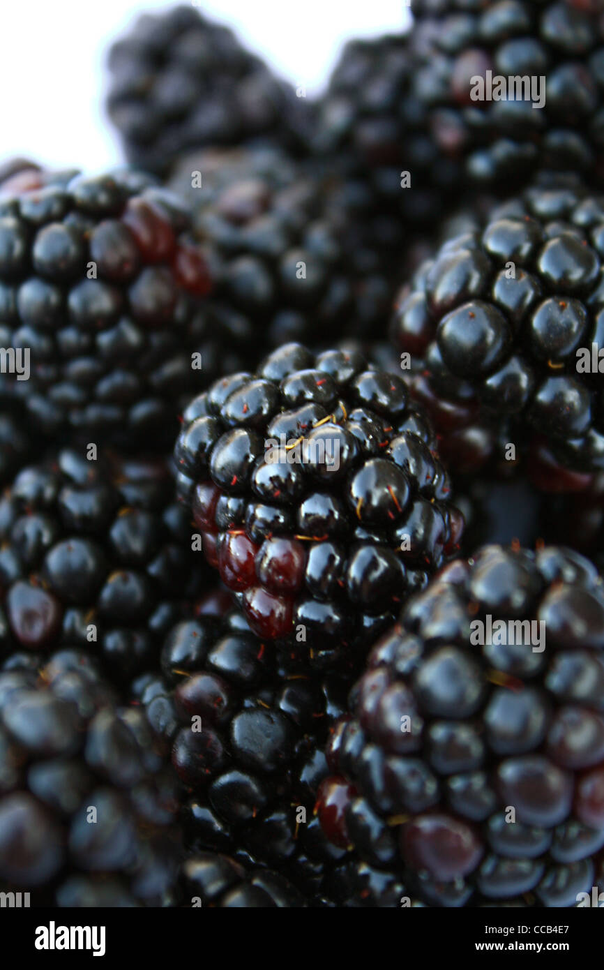 a punnet, basket of freshly picked blackberries Stock Photo - Alamy