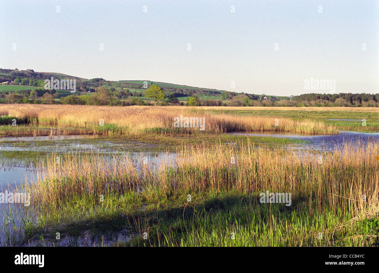 Mersehead rspb reserve hi-res stock photography and images - Alamy