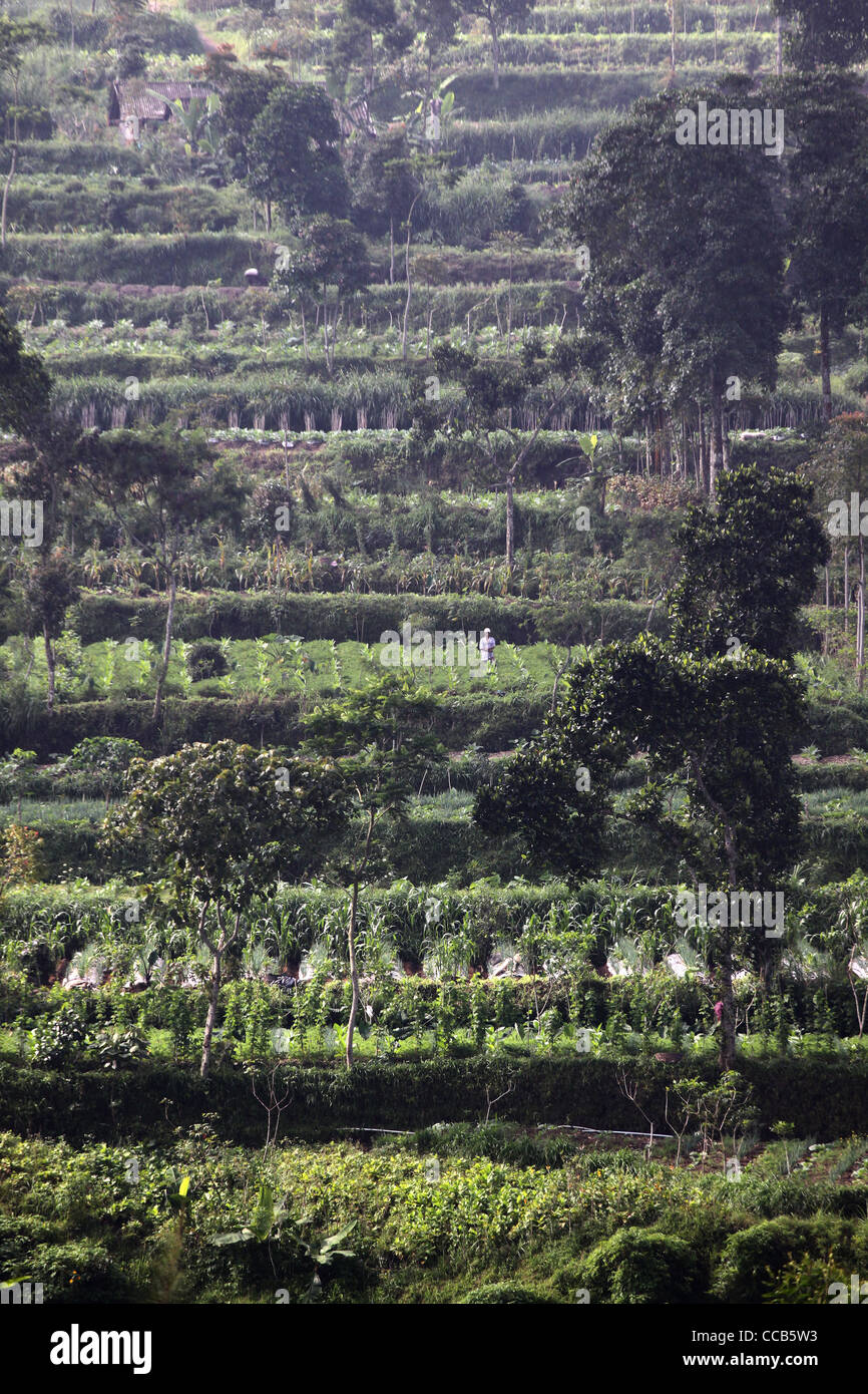 Farm fields hi-res stock photography and images - Alamy