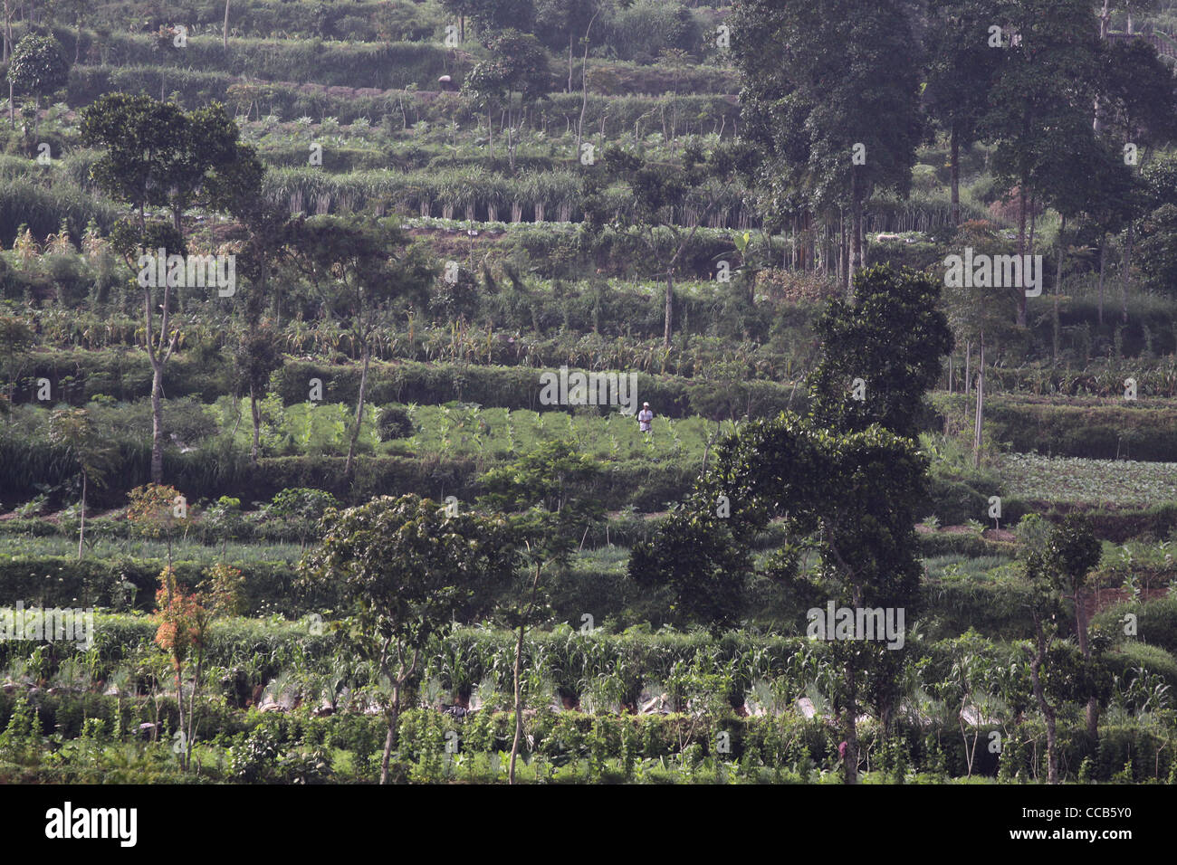 Village mount hi-res stock photography and images - Alamy