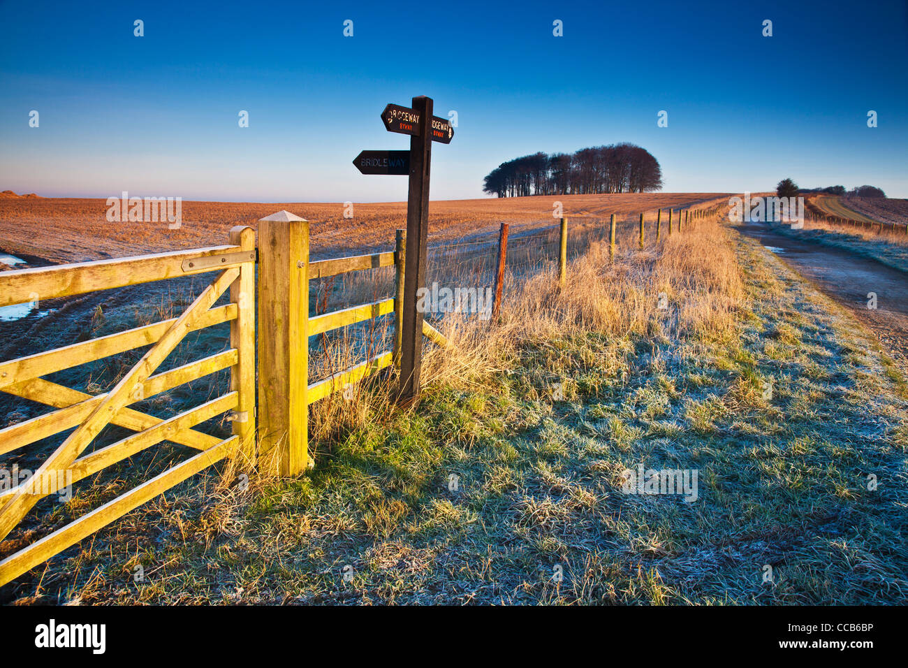 A frosty winter sunrise over the Ridgeway long distance path at Hackpen ...