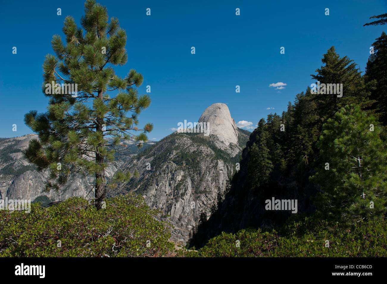 Panoramic Point view of Liberty Cap along the Panoramic Trail.Yosemite ...
