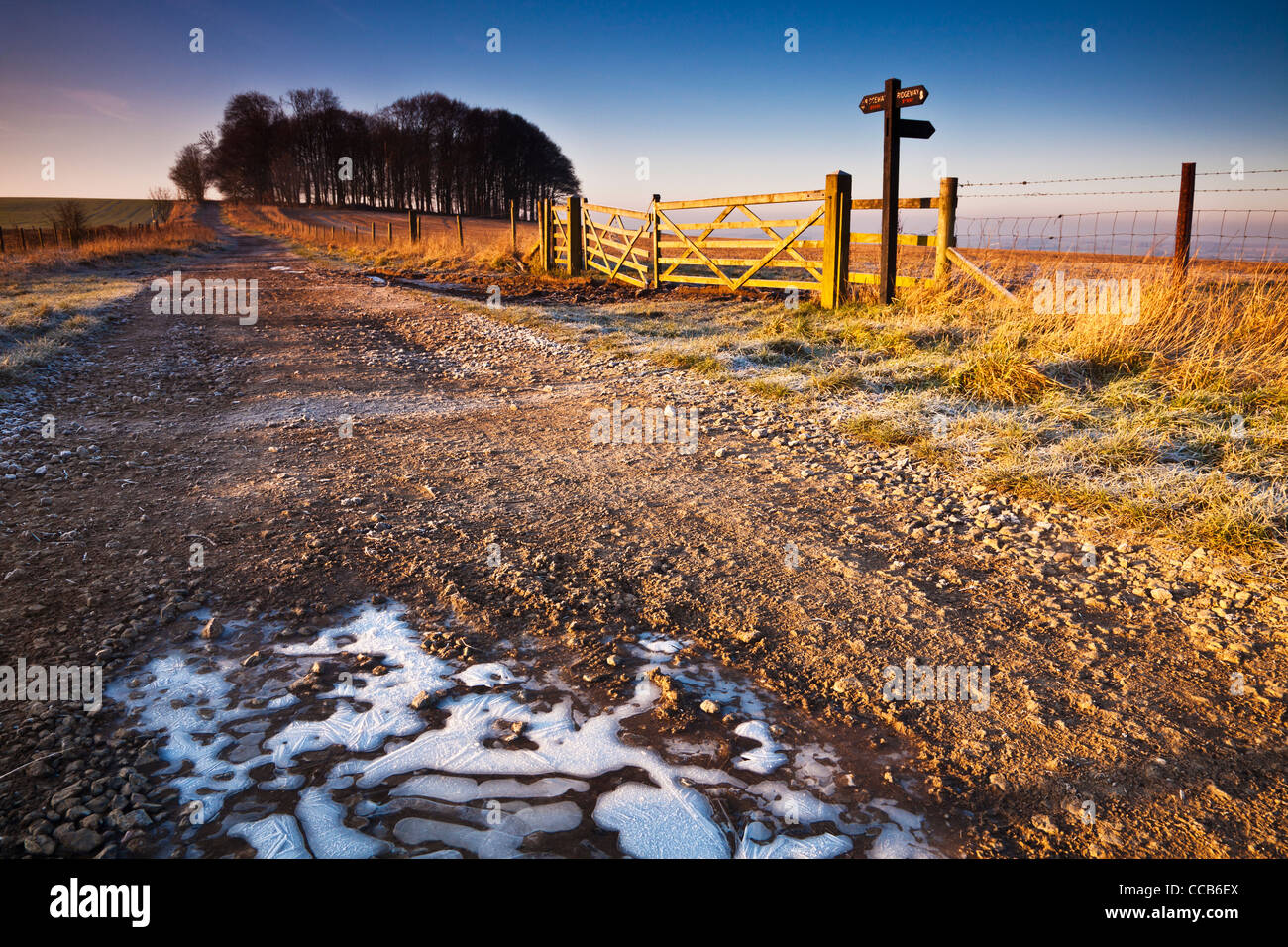 Rutted pathway hi-res stock photography and images - Alamy