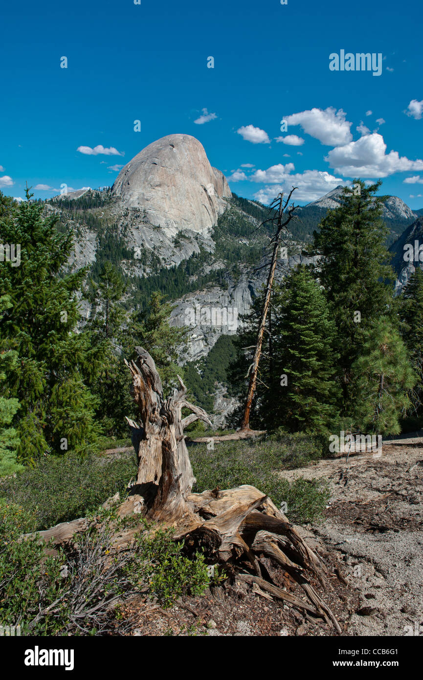 Back of Half Dome, Liberty Cap and Mount Broderick viewed from The ...