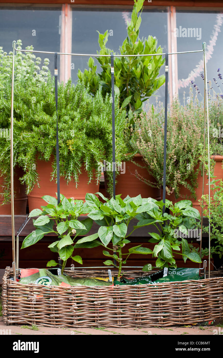 Garden raised beds patio hi-res stock photography and images - Alamy