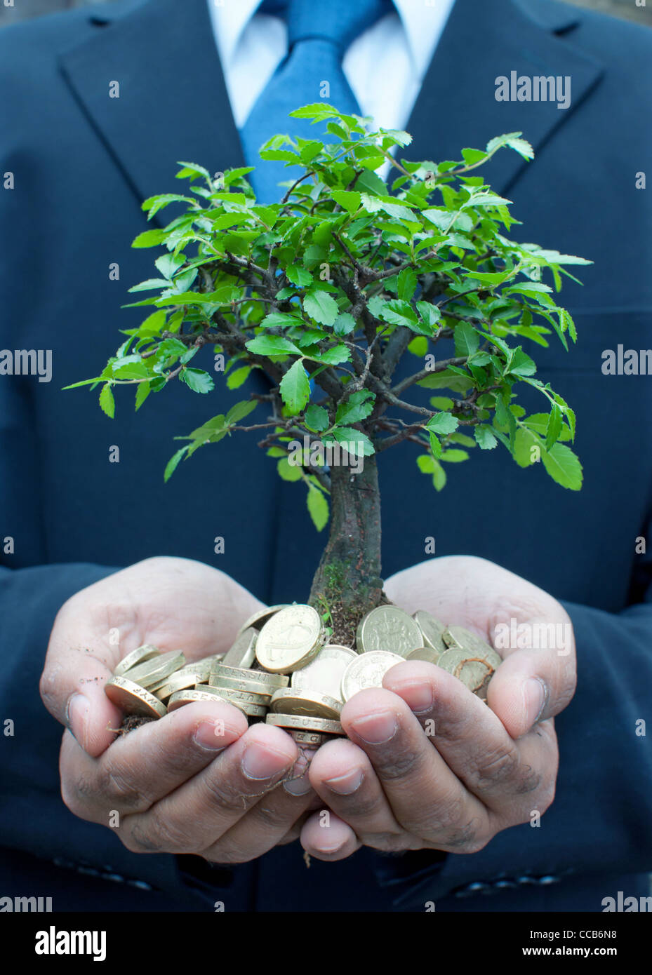Money tree pounds hi-res stock photography and images - Alamy