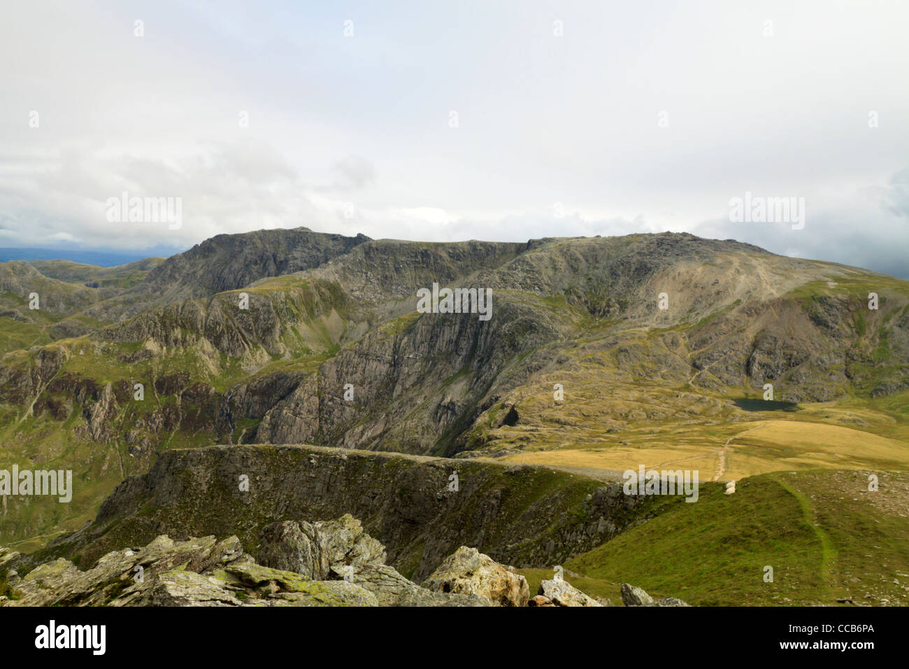 Looking towards Glyder Fach from Y Garn Stock Photo - Alamy