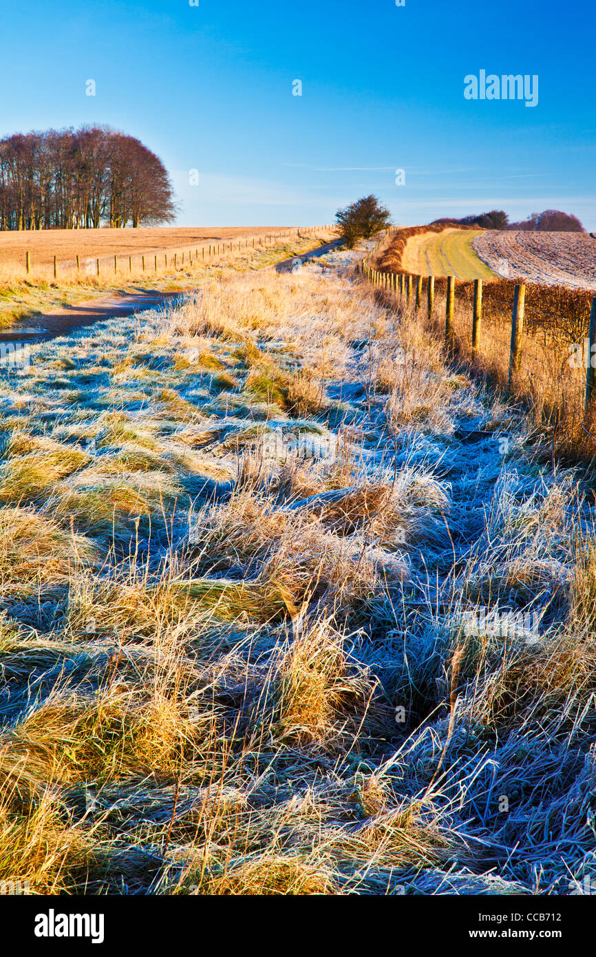 A frosty winter morning over the Ridgeway long distance path at Hackpen ...