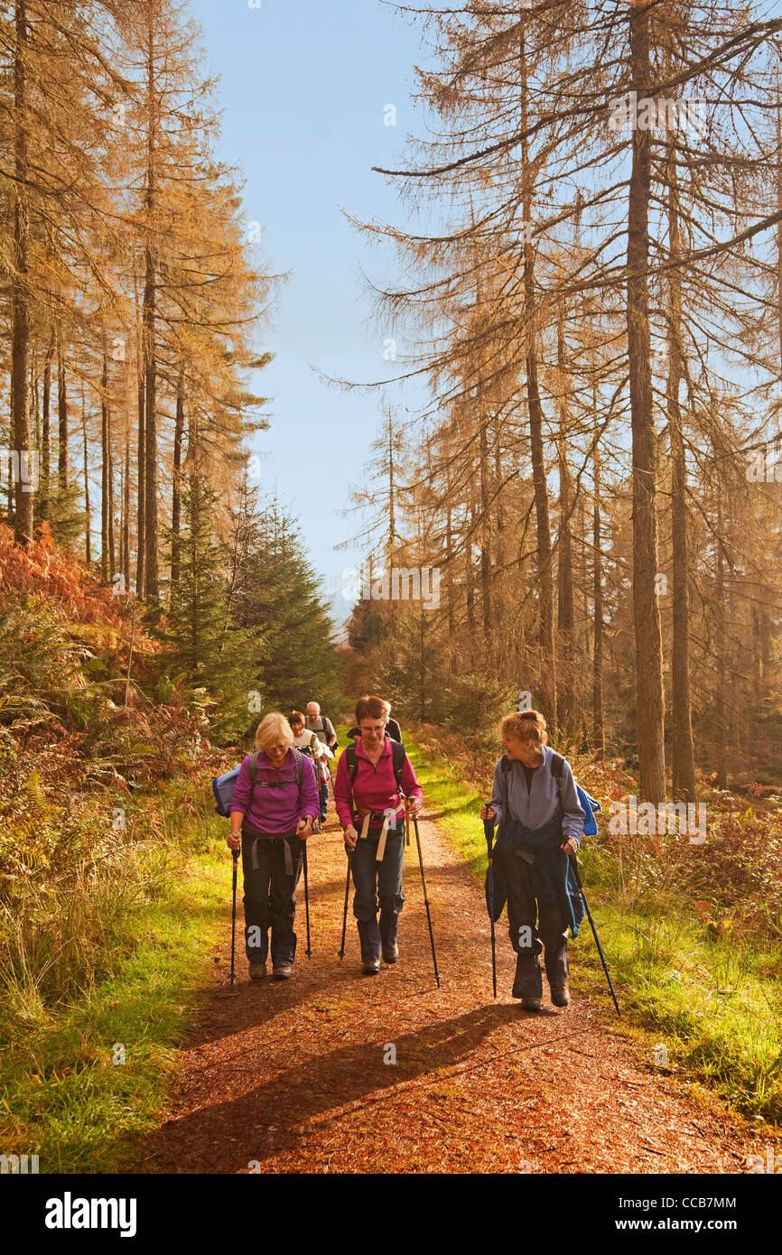 Queen elizabeth forest park aberfoyle hi-res stock photography and ...