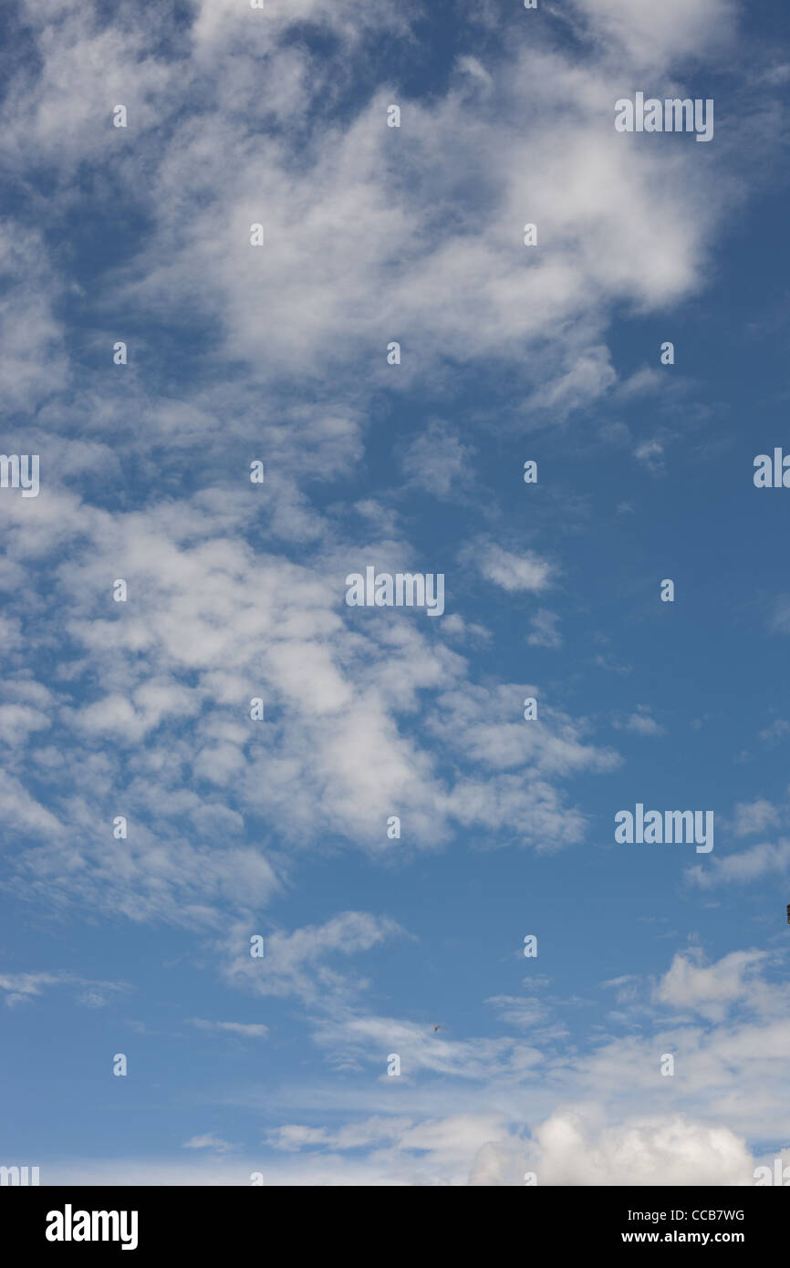 Clear blue morning sky autumn light hi-res stock photography and images ...