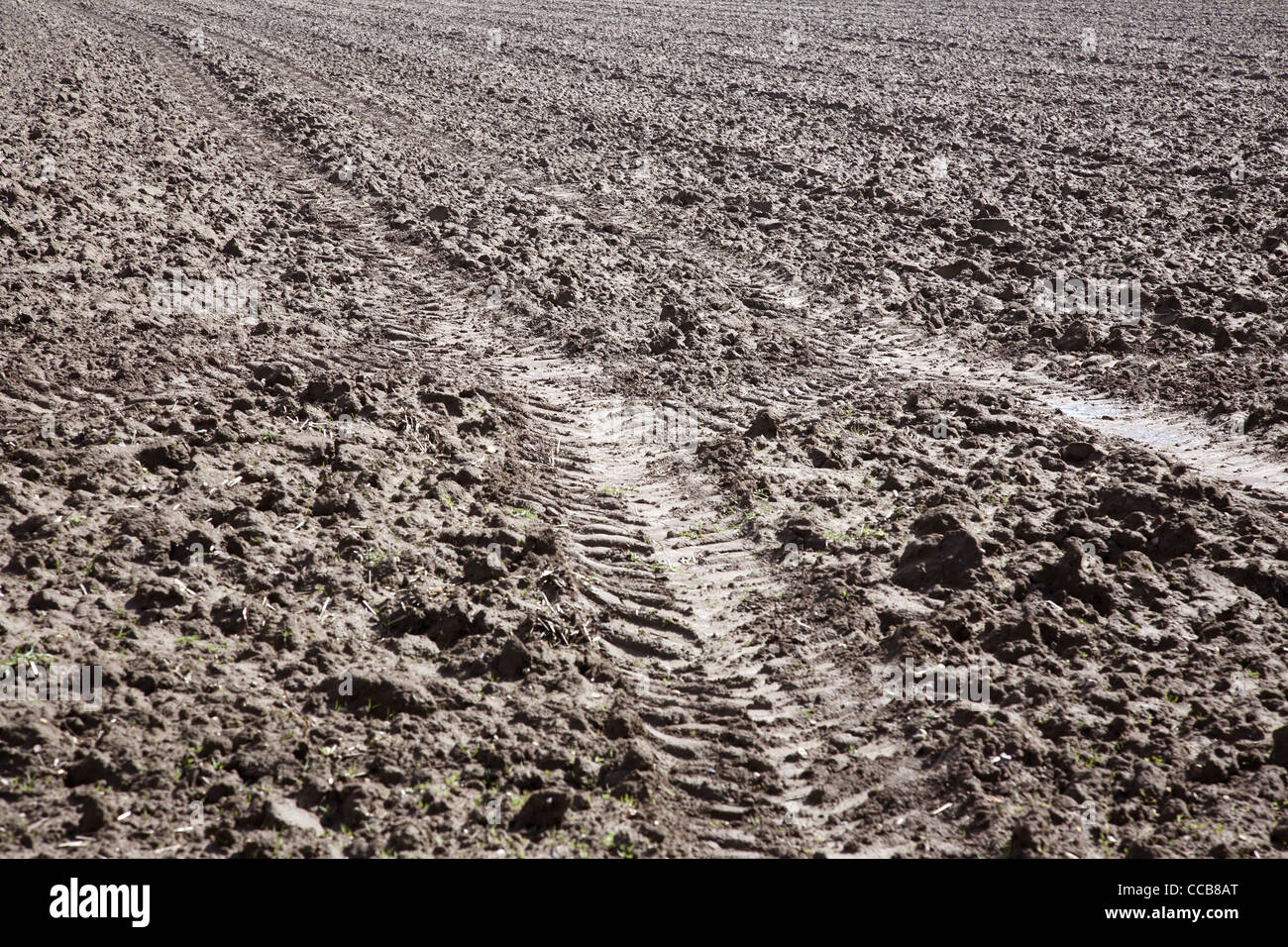 Ploughed muddy field Stock Photo - Alamy