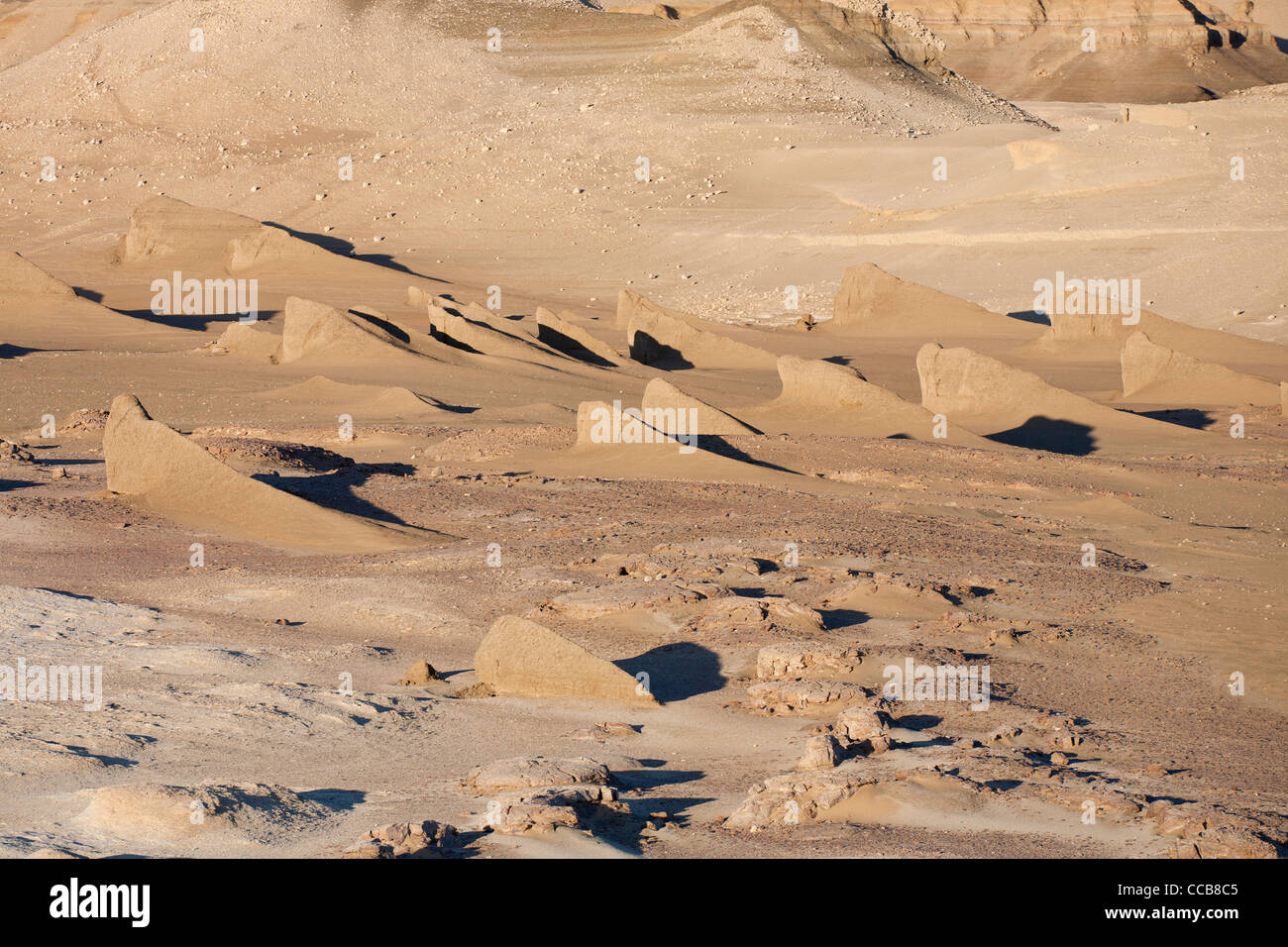 Mud lions in the yardang field Dakhla Oasis Egypt Africa Stock Photo ...