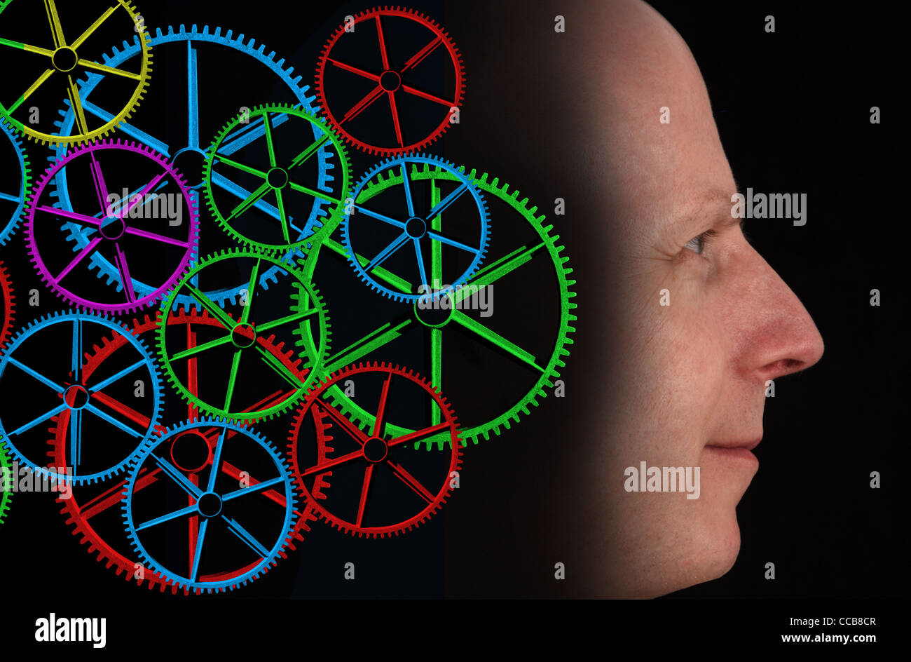 Coloured cogs in a mans head representing thinking Stock Photo - Alamy