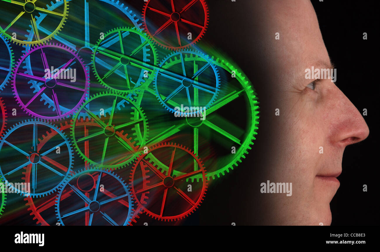 Coloured cogs in a mans head representing thinking Stock Photo - Alamy