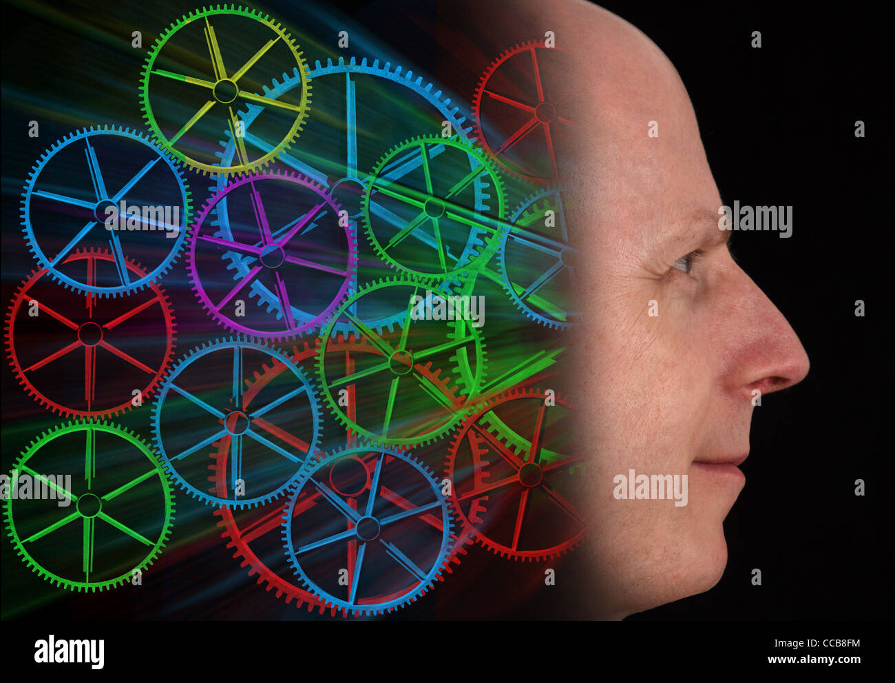 Coloured cogs in a mans head representing thinking Stock Photo - Alamy