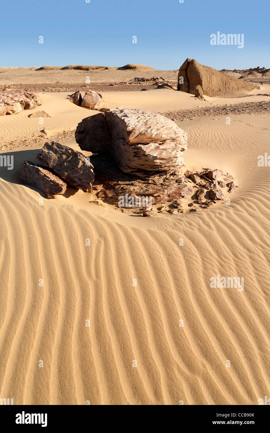 Vertical shot of wind blown sand ridges and mud lion in yardang field ...